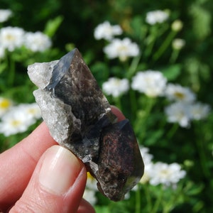 2.25in 38g RARE RED Chlorite Quartz Crystal Cluster, Trigonic Record ...