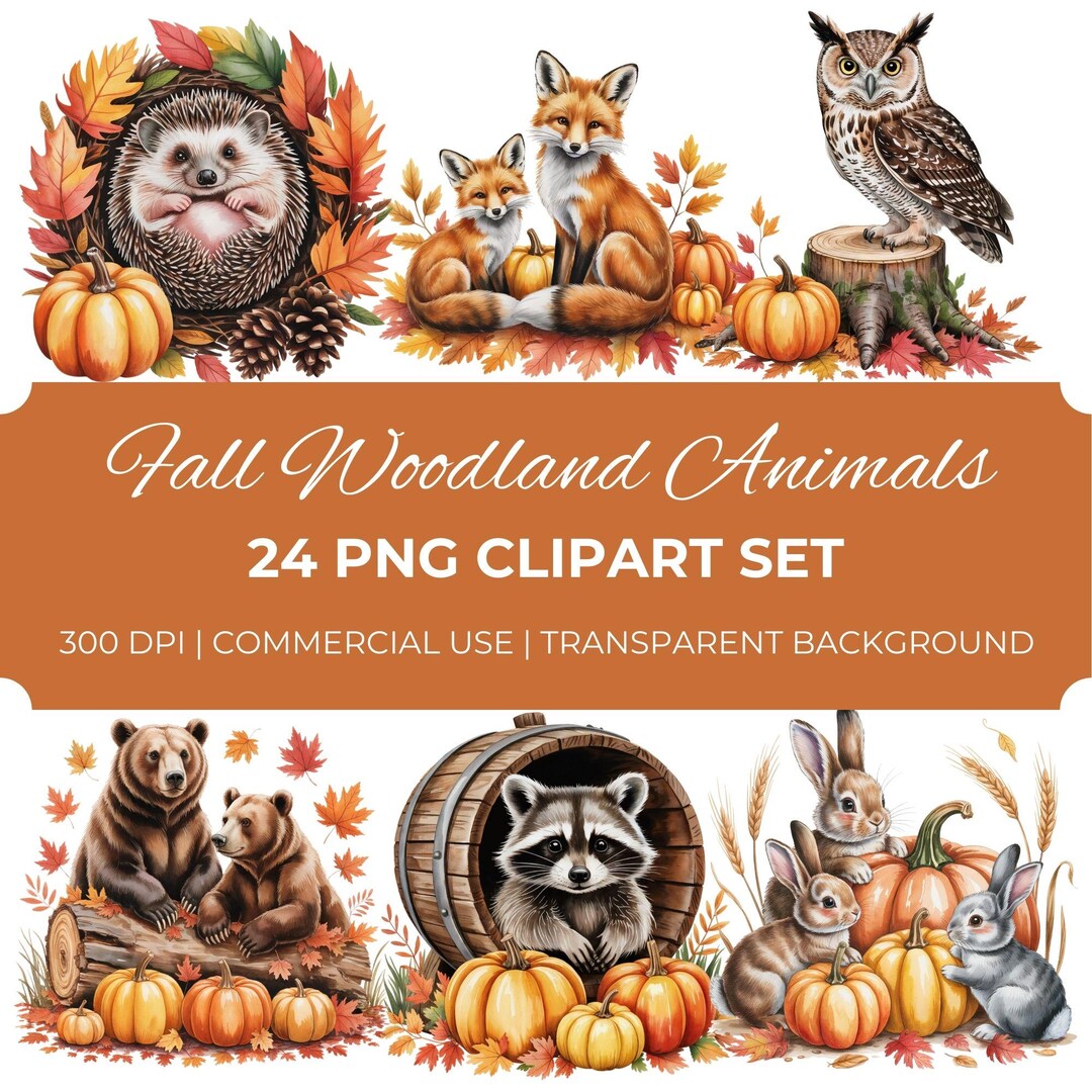 24 Fall Woodland Animals PNG Clipart, Pumpkin Forest Animals PNG, Cute ...