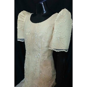FILIPINIANA DRESS Embroidered and Beaded Mestiza Serpentina PINYA Gown ...