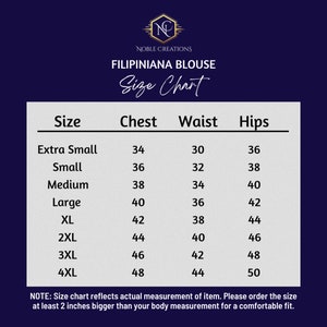 FILIPINIANA Jusi Fabric Hand Painted BISHOP SLEEVE Jacket Barong ...