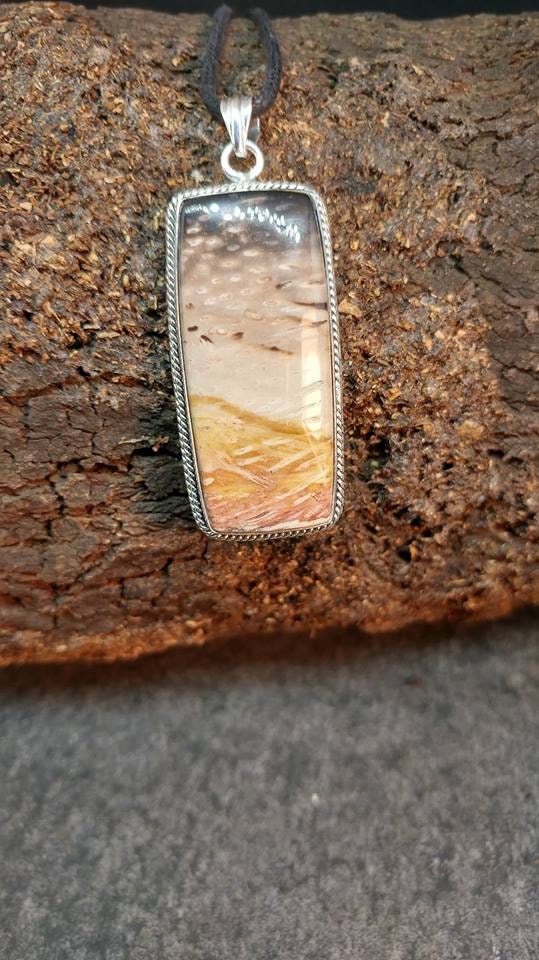 High Vibrational Petrified Palm Root 925 Pendant - Etsy