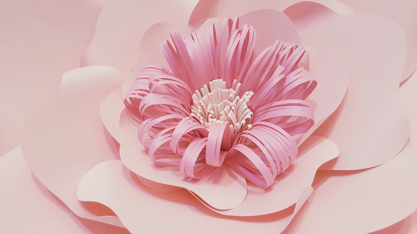 Beautiful Paper Flower Template PDF Digital Version for | Etsy