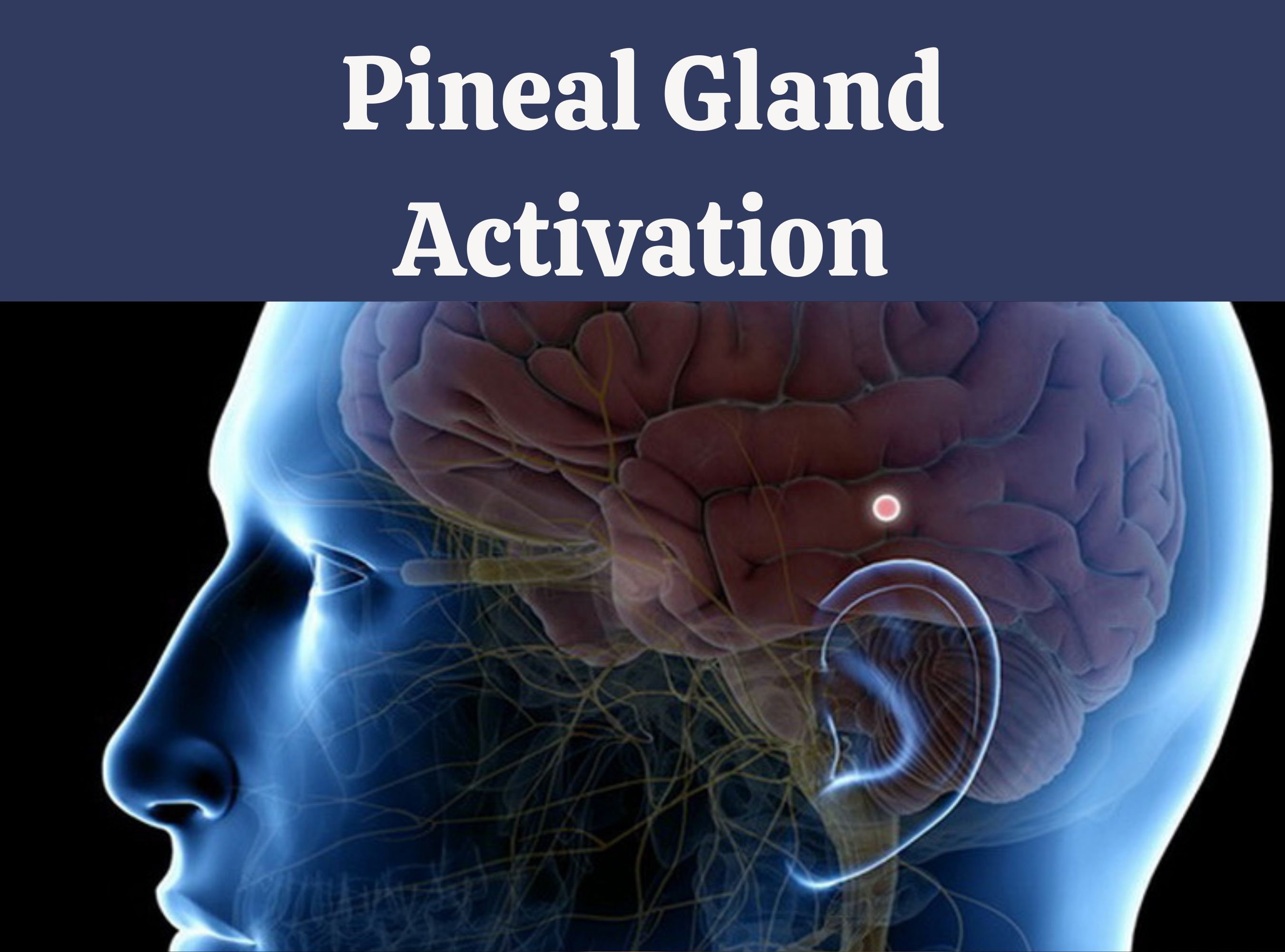 Pineal Gland Activation