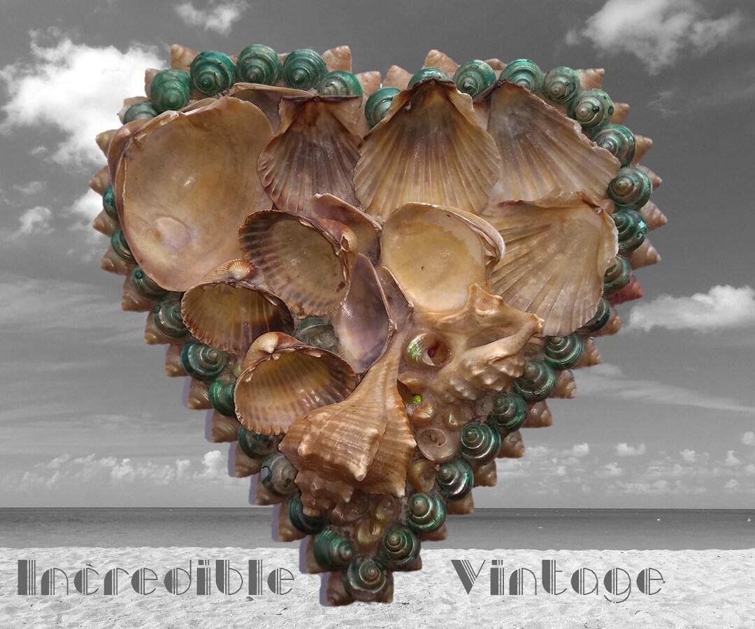 Vintage HEART SHAPED Trochus Shell Jewellery Trinket Box 1950s 60s ...