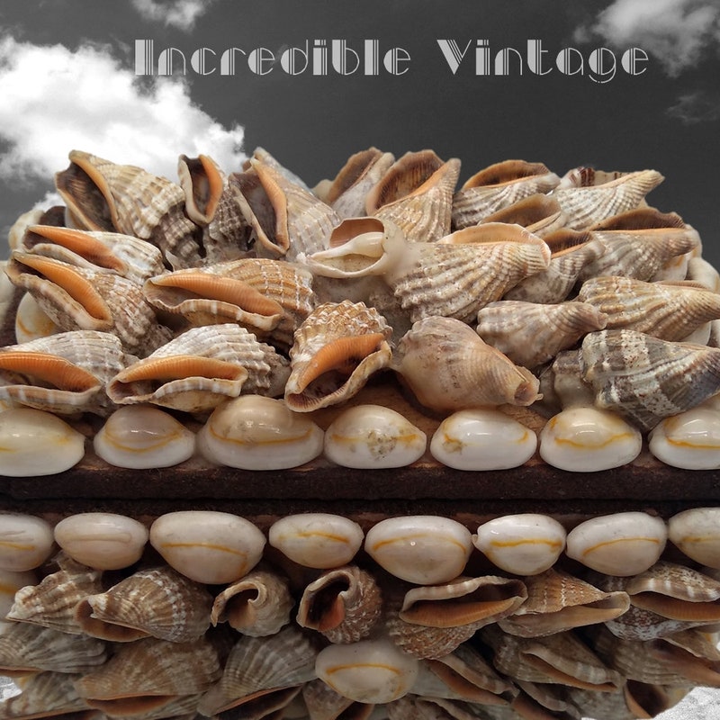 Shell Boxes - Etsy
