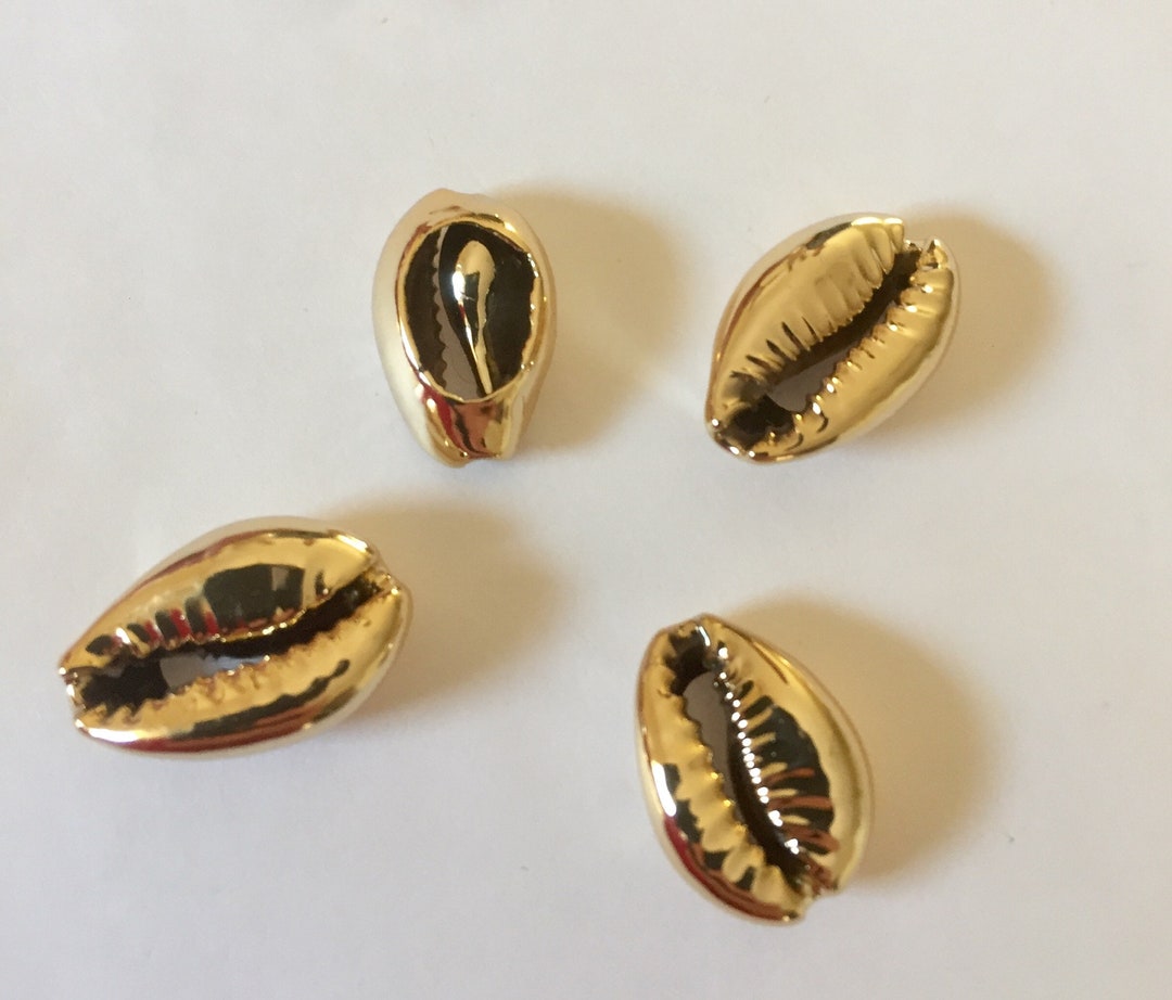 Lot of 2 Natural Golden Cowries 13-18mm, Natural South Pacific Cowrie ...