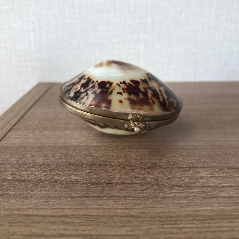 Antique Shell Purse - Etsy