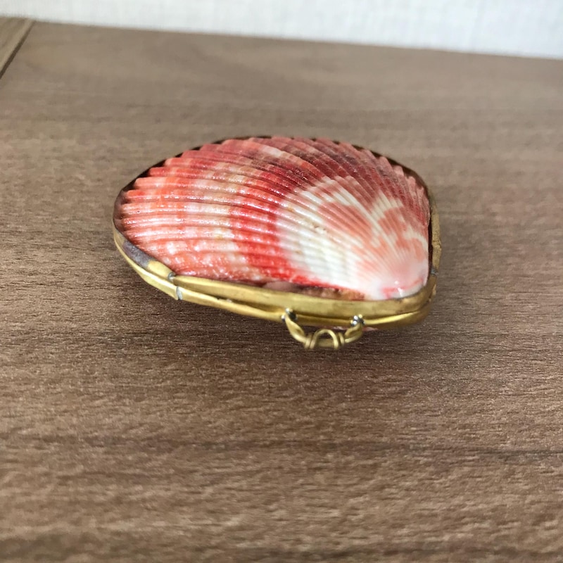 Shell Coin Purse - Etsy