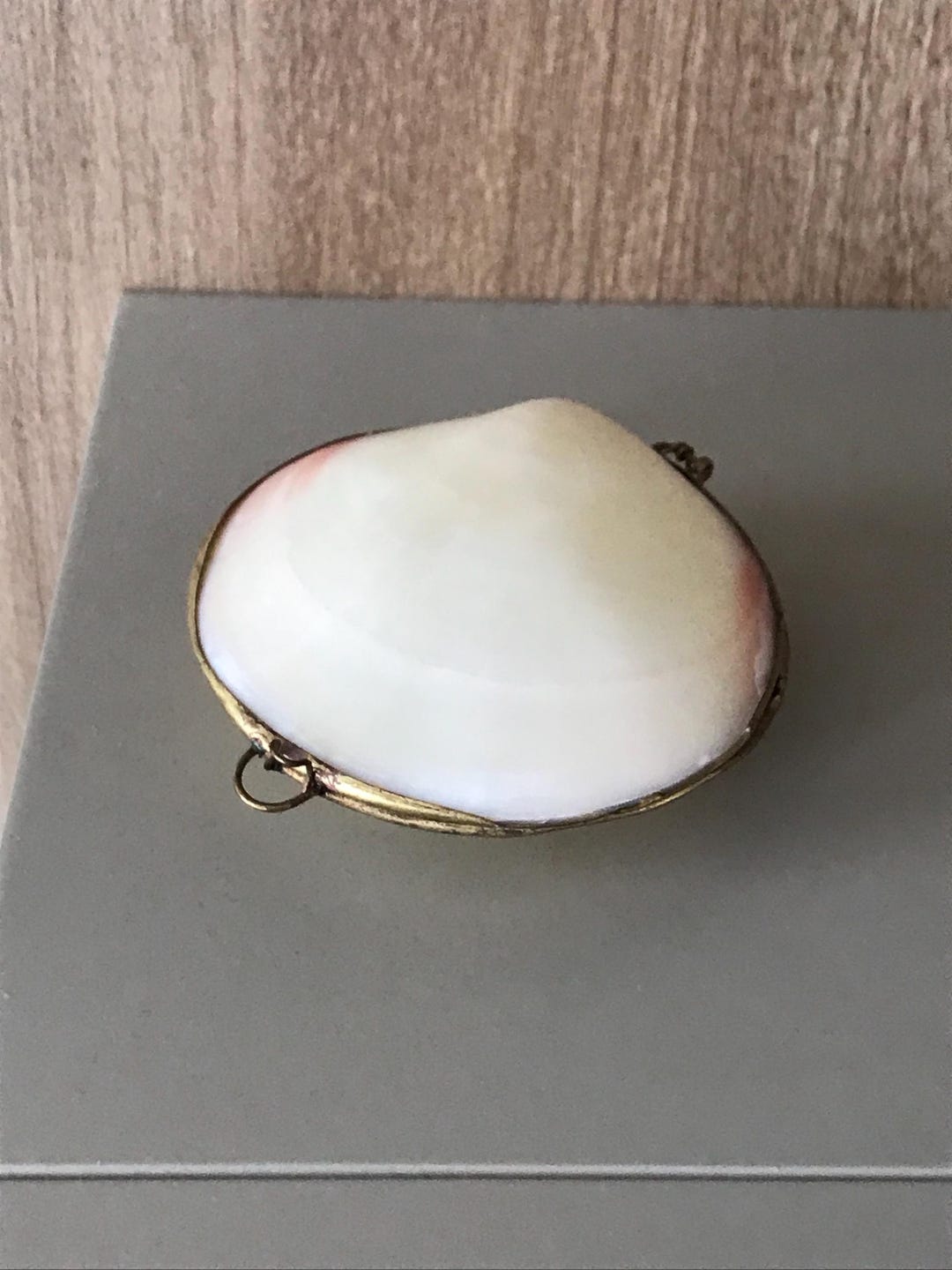 Vintage Brass Bound Polished Shell Coin Purse With Brass Closure - Etsy