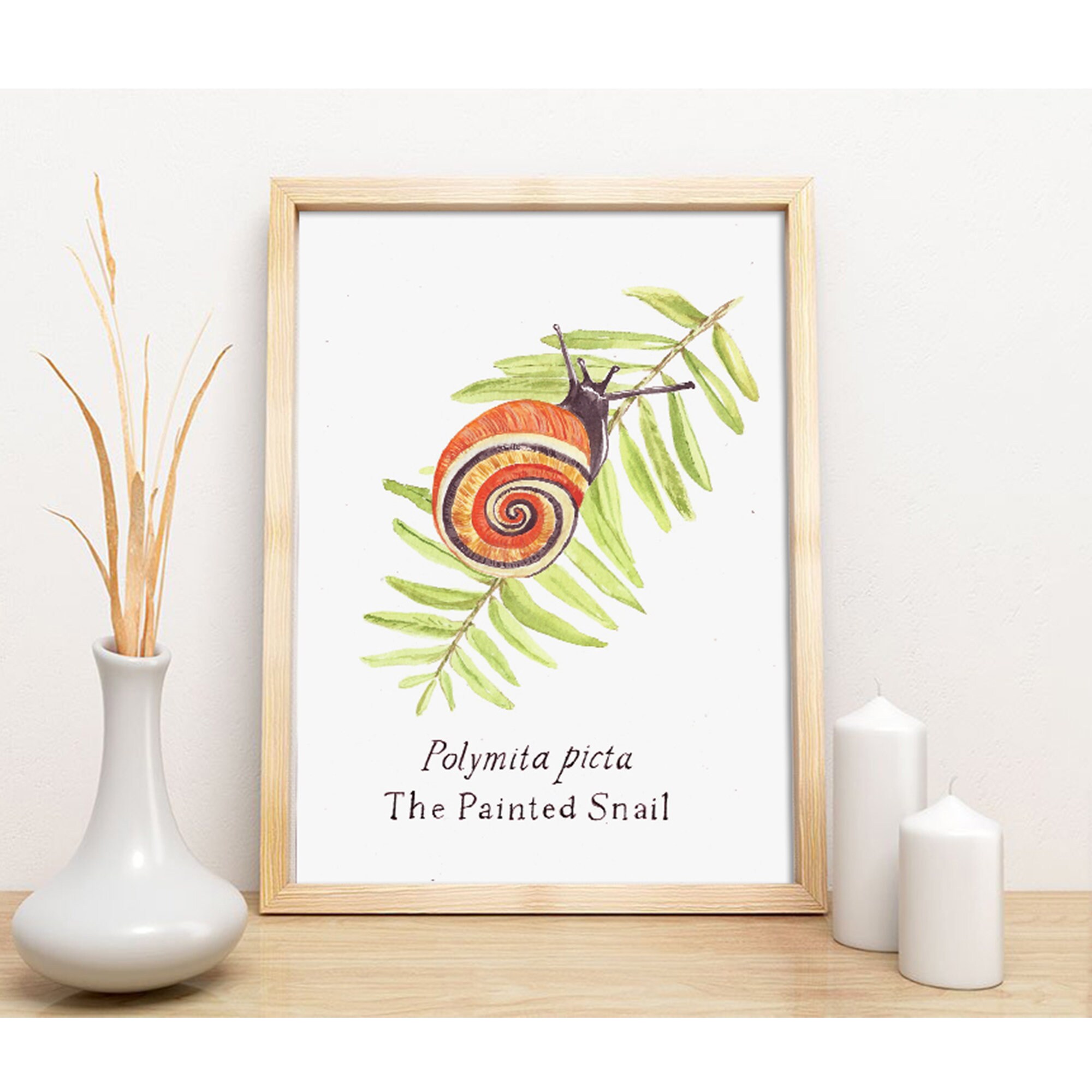 Snails Print, Chart, Collage, Unique Gift, Insect Print, Nursery Wall ...