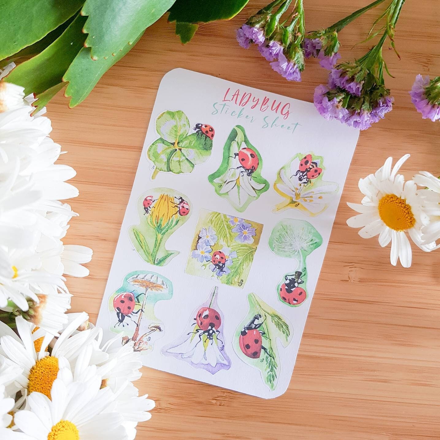 Lady Beetle Ladybug Ladybird Clear Paper Sticker Sheet Bug - Etsy