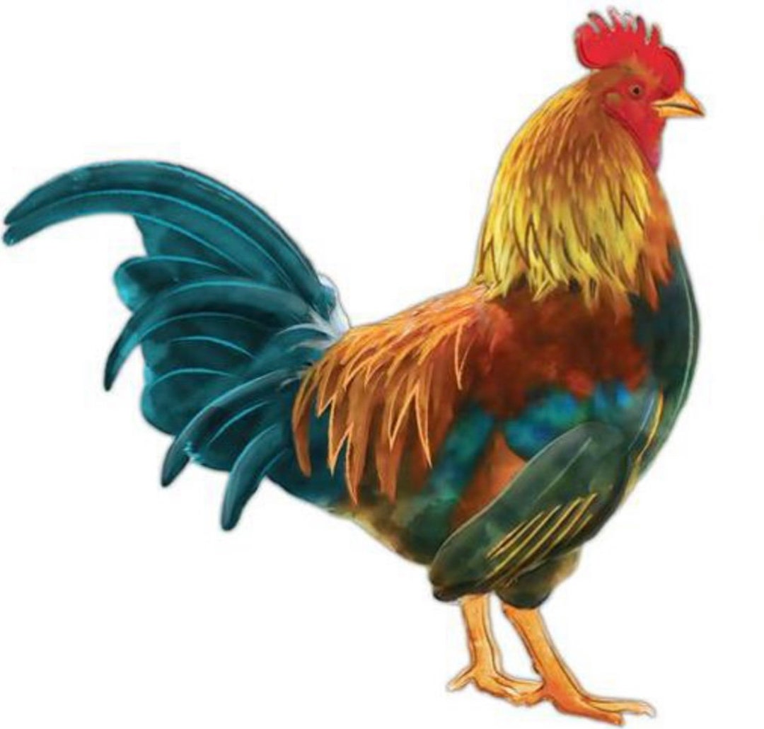 12”x11.75” Metal Embossed Colorful Rooster Wreath Sign - Chicken Sign ...