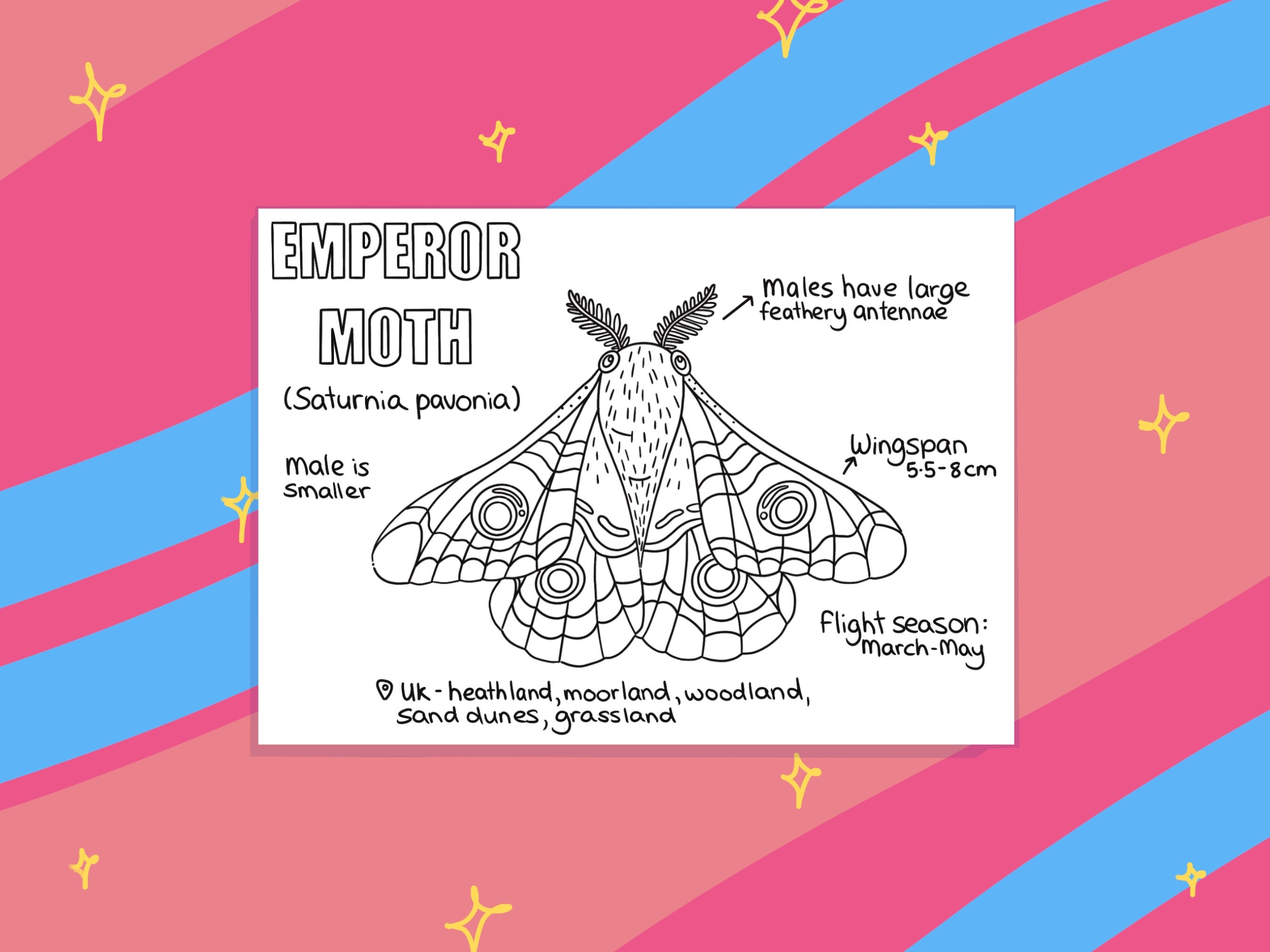 A6 Illustrated Colouring-in Fact-file Postcard Emperor Moth - Etsy