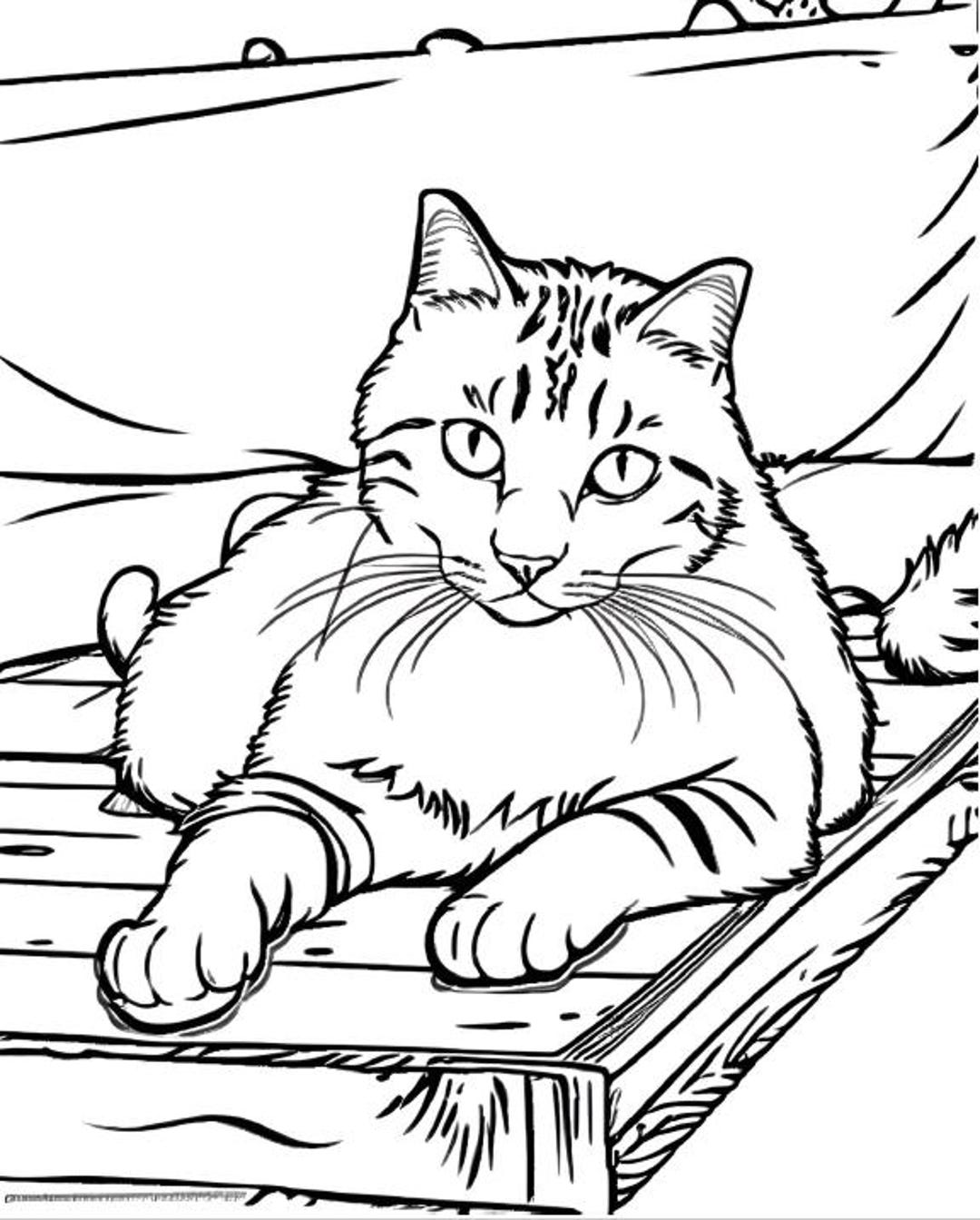 Cat Sitting on a Table Coloring Page - Etsy