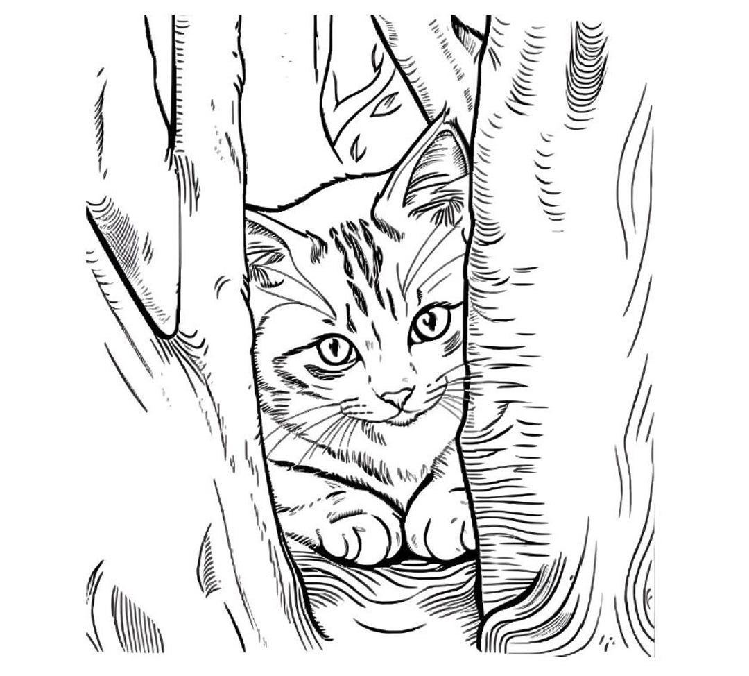 Kitten Peeking Out of a Tree Coloring Page - Etsy