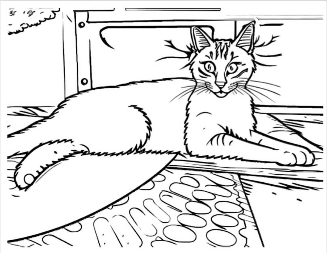 Cat Laying Coloring Page - Etsy