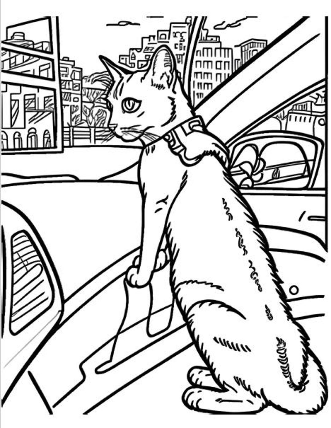 Cat Riding in the Car Coloring Page - Etsy