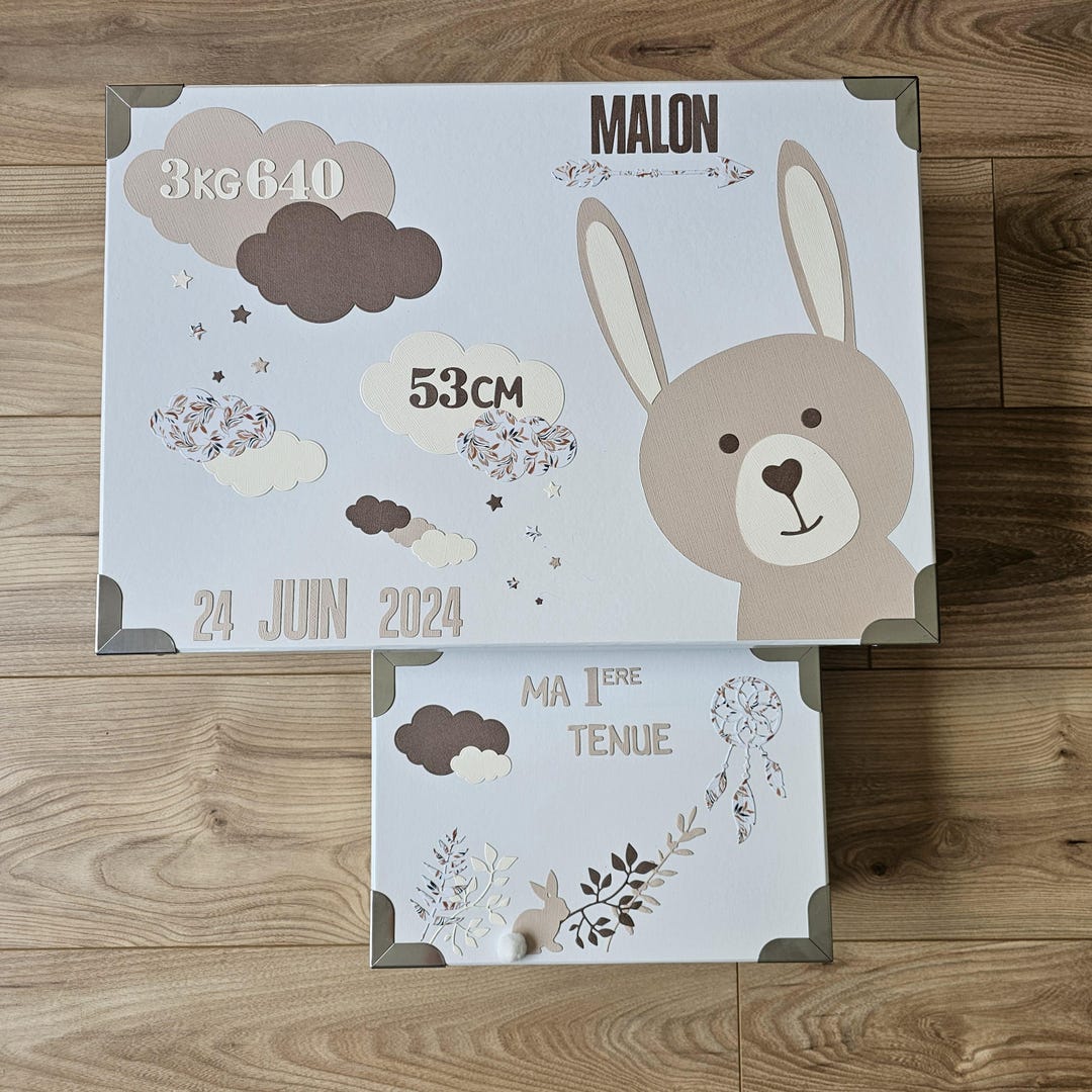 Rabbit Theme Birth Box - Etsy