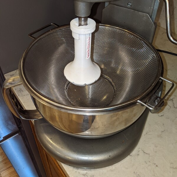 Kombucha Seeds - Etsy