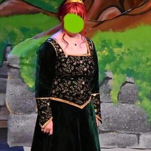 Princess Fiona Costume | Movie Inspired Evening Gown | Cosplay Costume ...