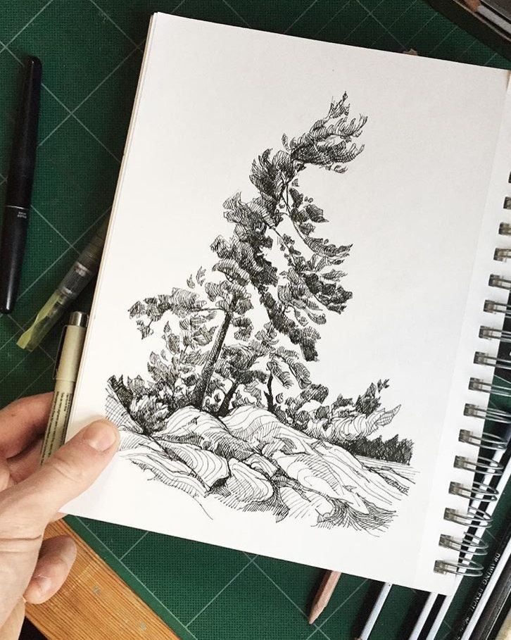 White Pine Ink Drawing Print Landscape Art, Watercolour, Black and ...