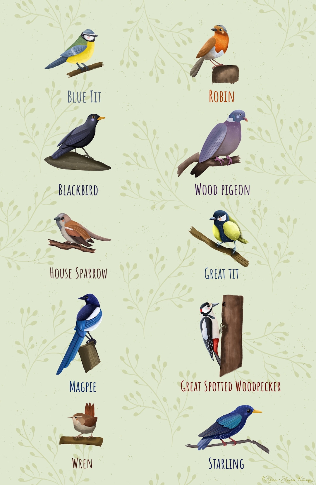 Common Garden Bird Print, Poster Size 286mm X 439mm - Etsy