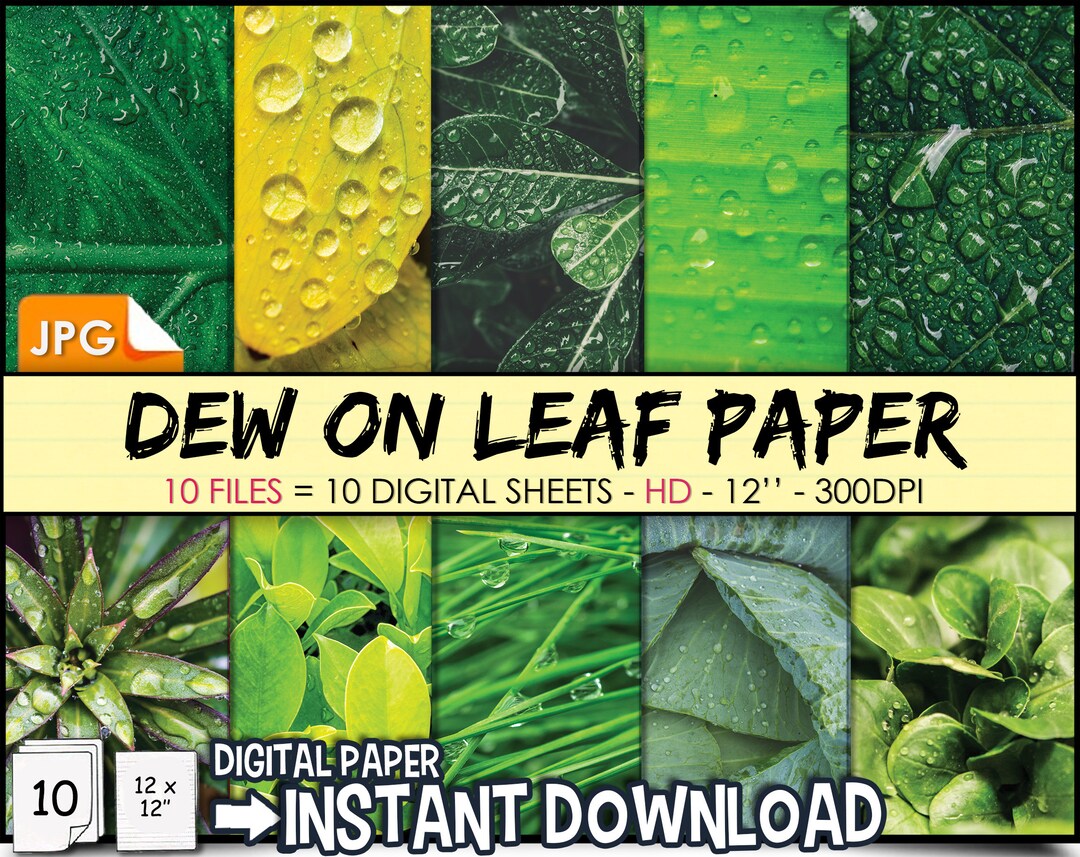 10 Paper Digital Printable Dew Drops Water on Leaf Vegetable - Etsy ...
