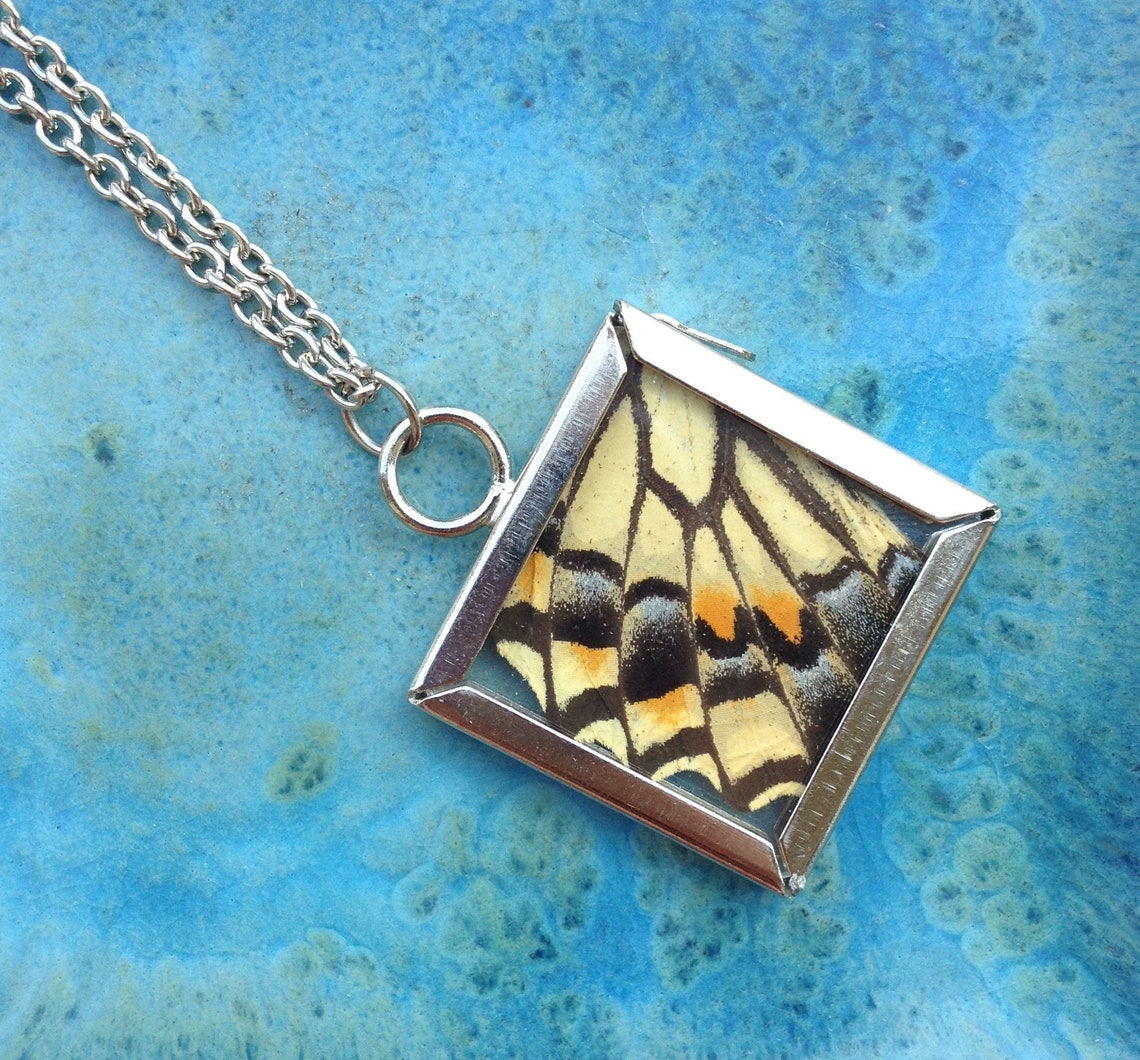 Butterfly Necklace - Real Butterfly Wing Necklace - Nature Lover Gift ...