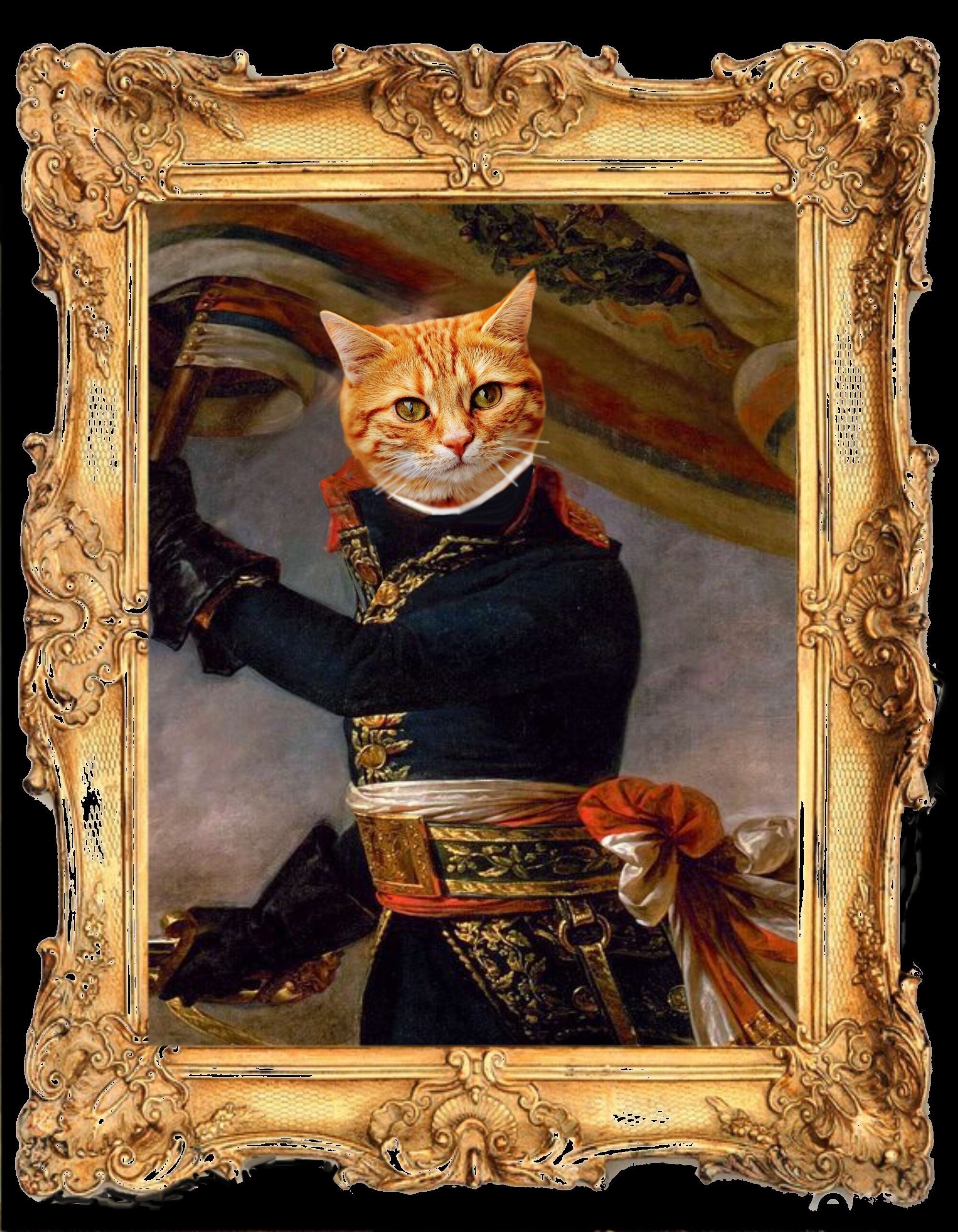 Portrait de chat personnalisable , chat Bonaparte - Etsy France