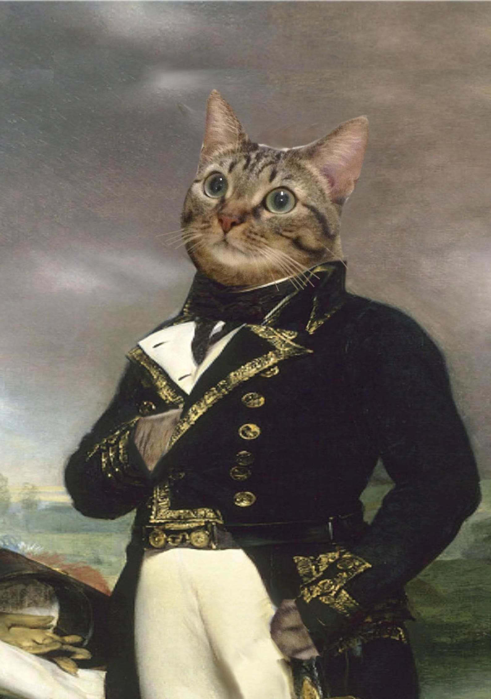 Portrait de chat personnalisable , chat costumé en général de ...
