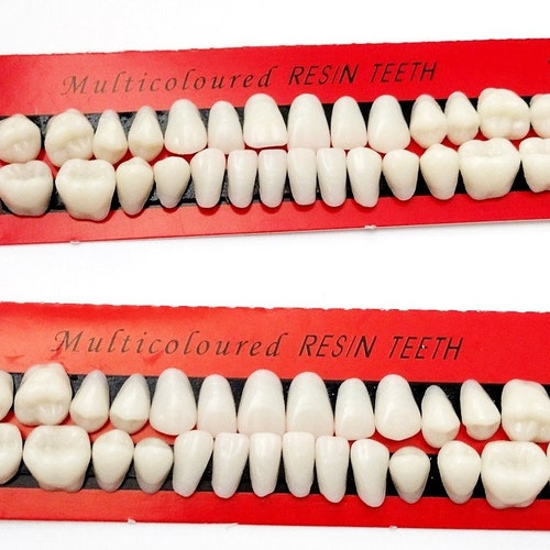 Full Set Resin Human Style Teeth Teeth Dentures Craft - Etsy