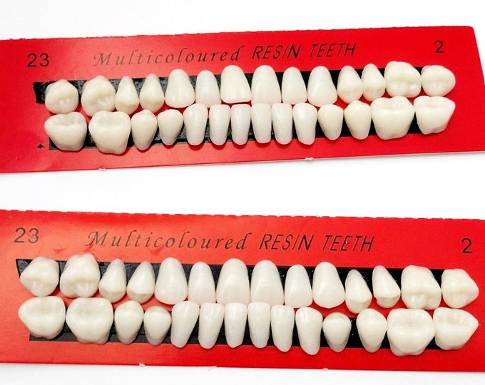 Full Set Resin Human Style Teeth, Teeth, Dentures, Craft Supplies ...
