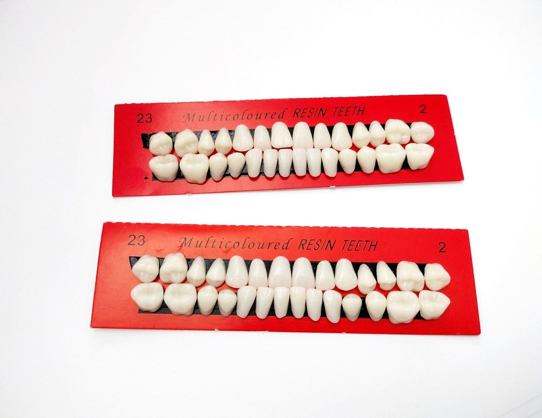 Full Set Resin Human Style Teeth, Teeth, Dentures, Craft Supplies ...