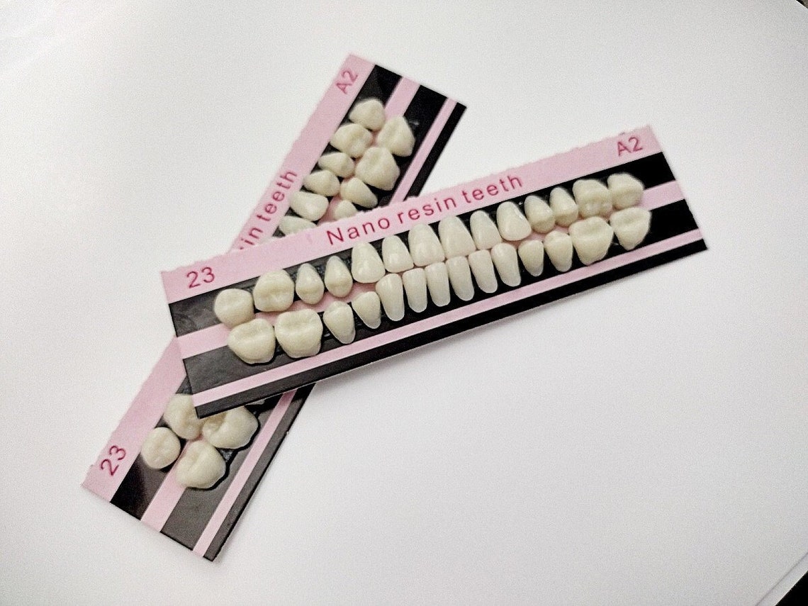 Full Set Resin Human Style Teeth Teeth Dentures Craft - Etsy