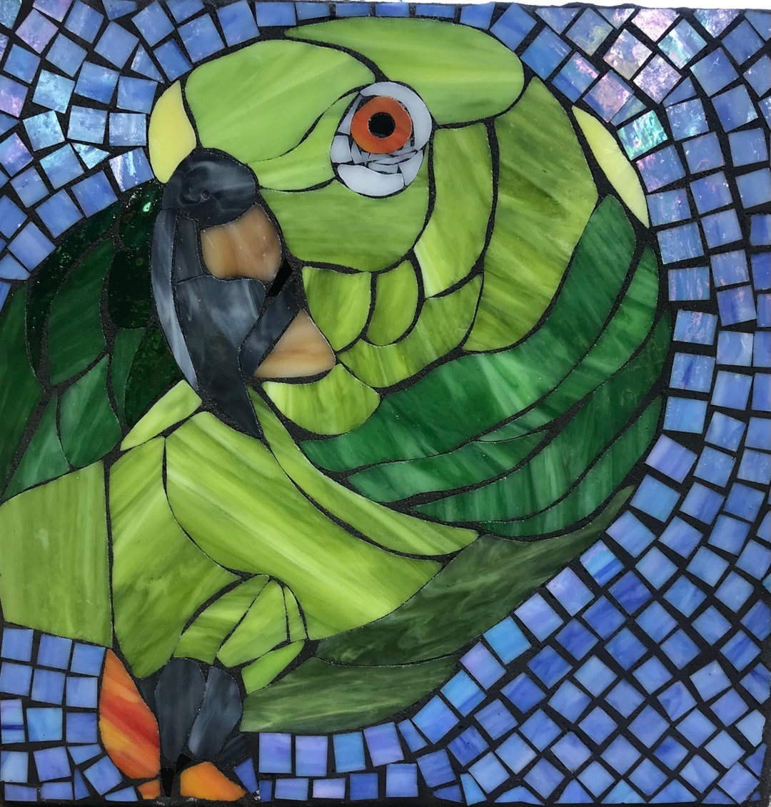 Amazon Parrot Stepping Stone Pet Memorial Stone Custom Order - Etsy