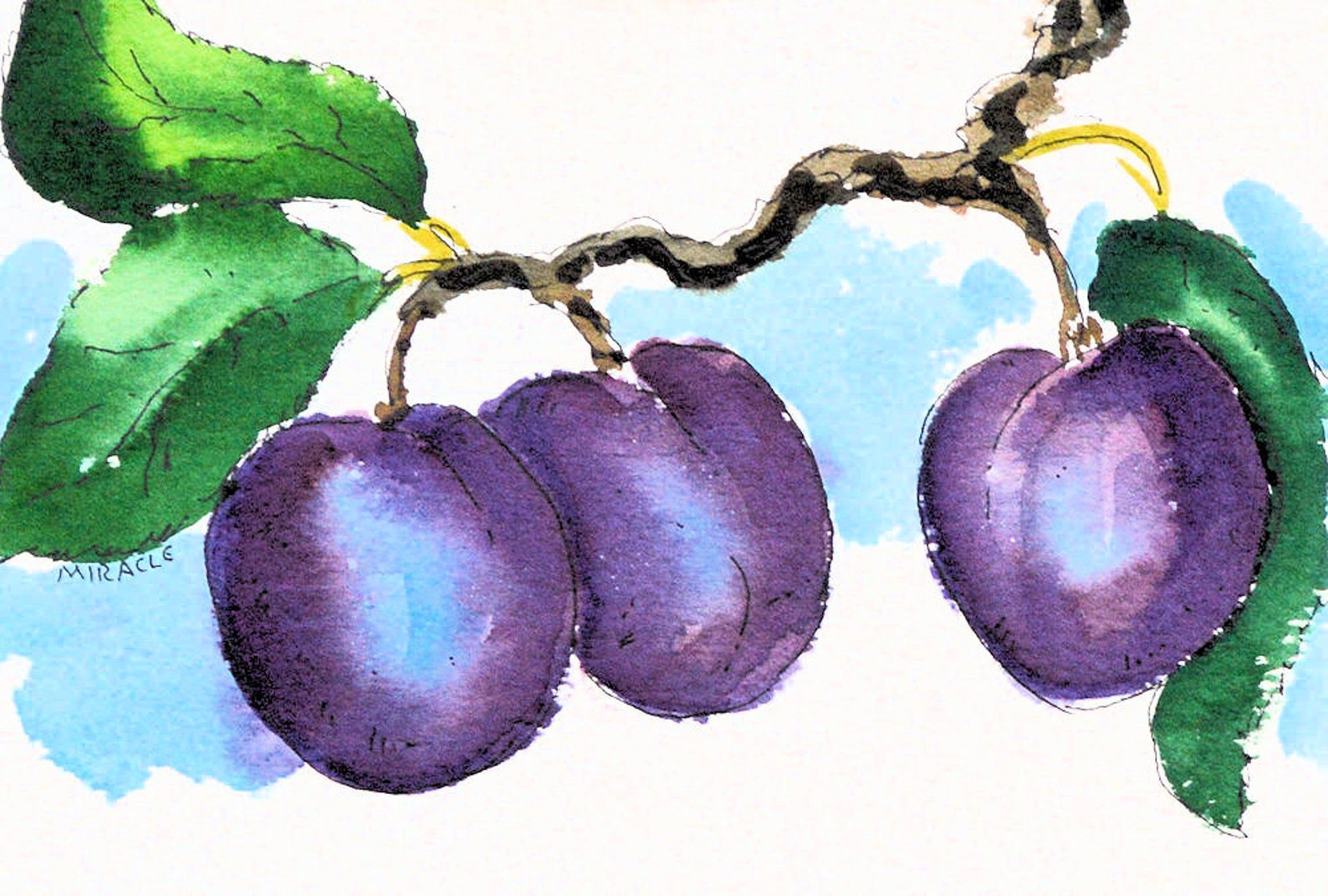 Prunes, original, peinture, aquarelle, stylo et encre 8 x 10 - Etsy France