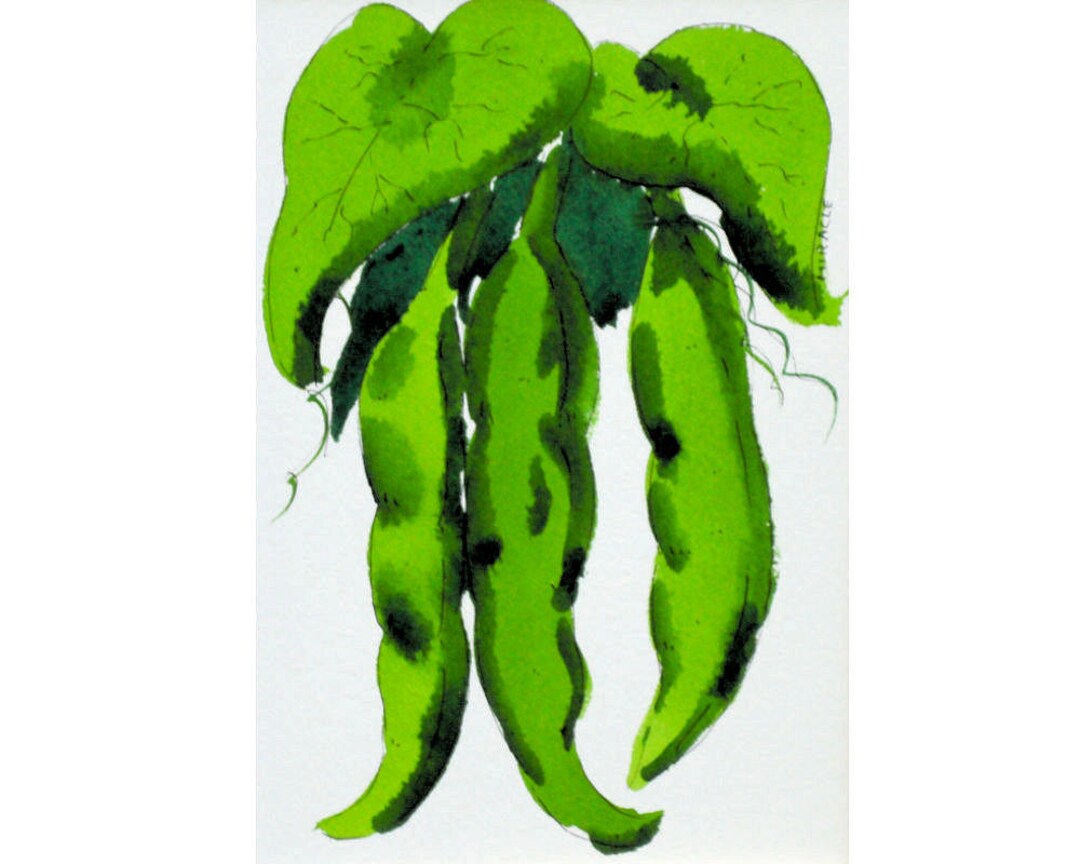 Beans, Green Beans, Watercolor, Pen and Ink, Kitchen Art, 8 X 10 - Etsy