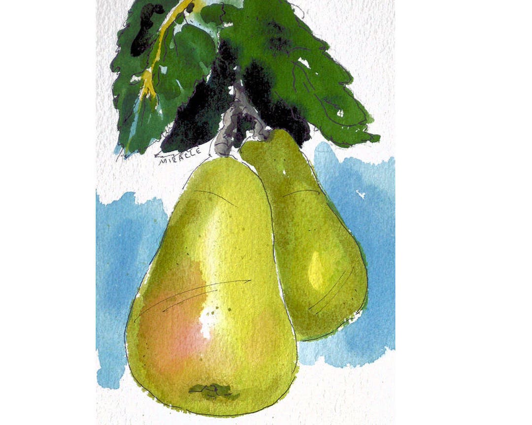 Pears Vertical Original Painting Watercolor Pen and Ink - Etsy