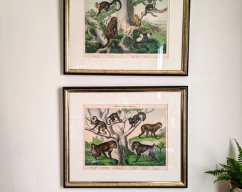 Chromo Lithograph - Etsy