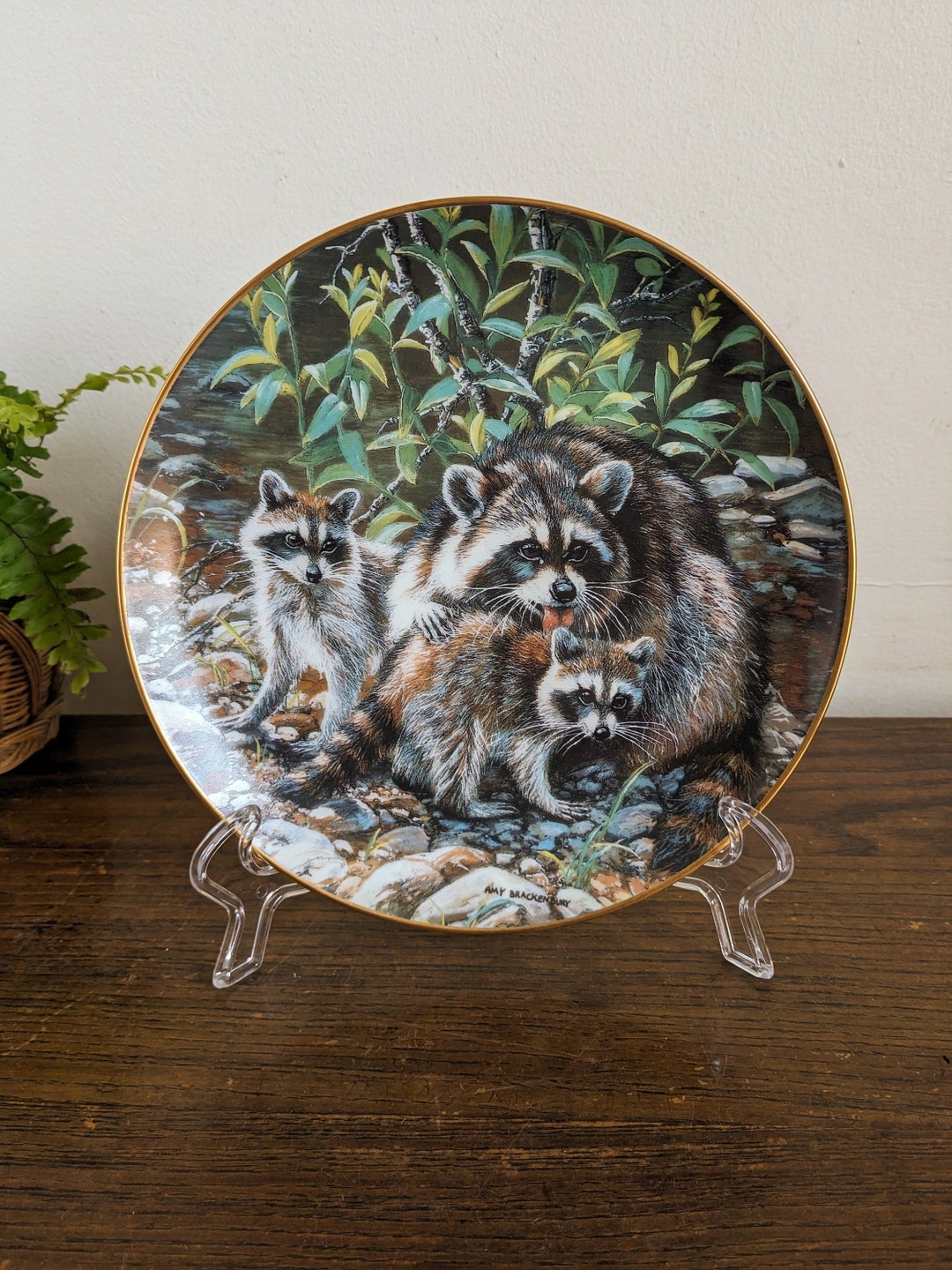 The Danbury Mint Woodland Creatures Raccoon Family 1991 Amy Brackenbury ...