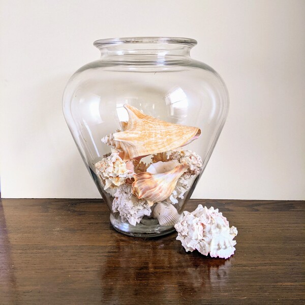 Jar of Shells - Etsy