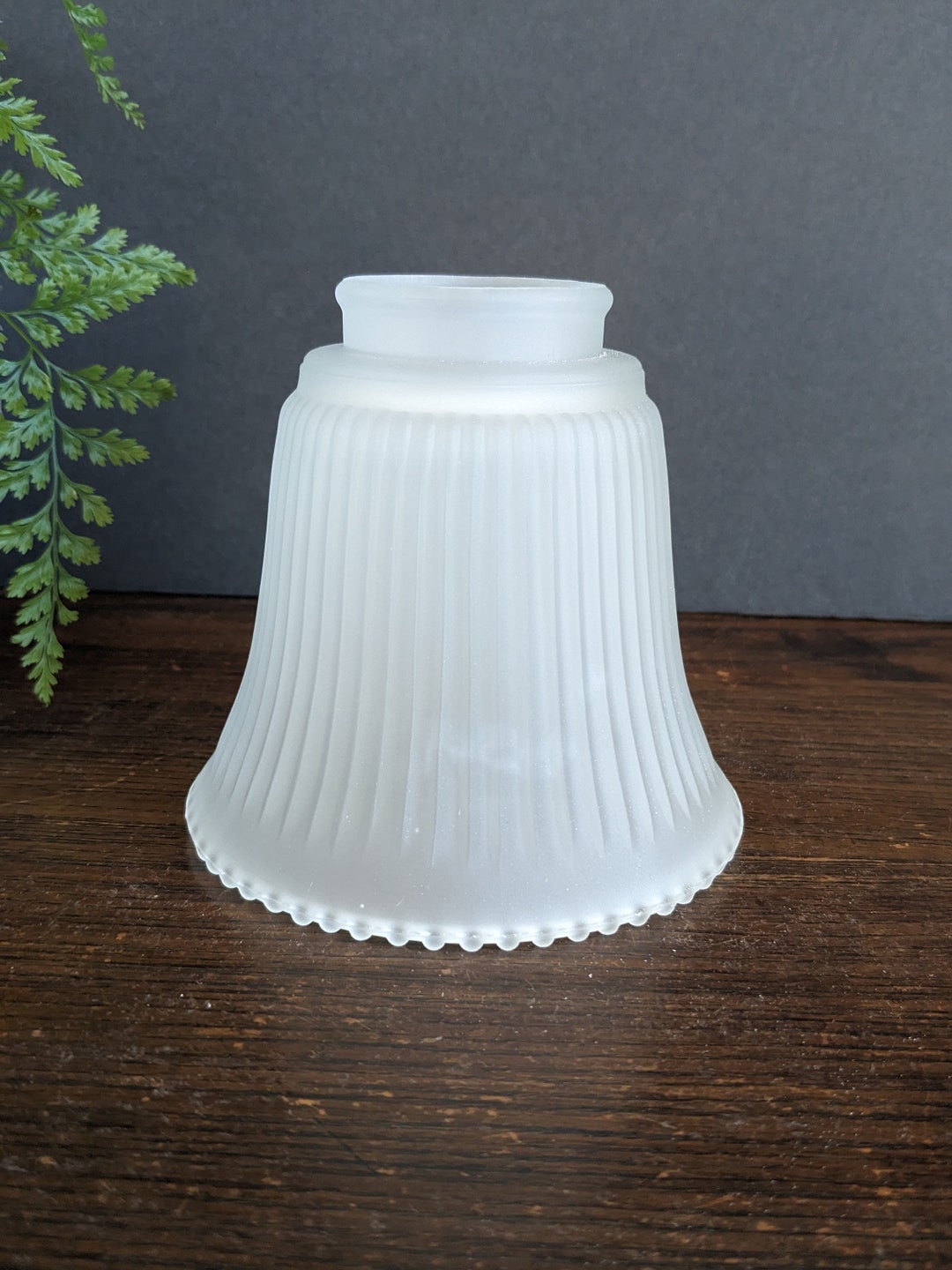 Satin Ribbed Bell Glass Shade 2 Inch Fitter Frosted Ball Edge - Etsy