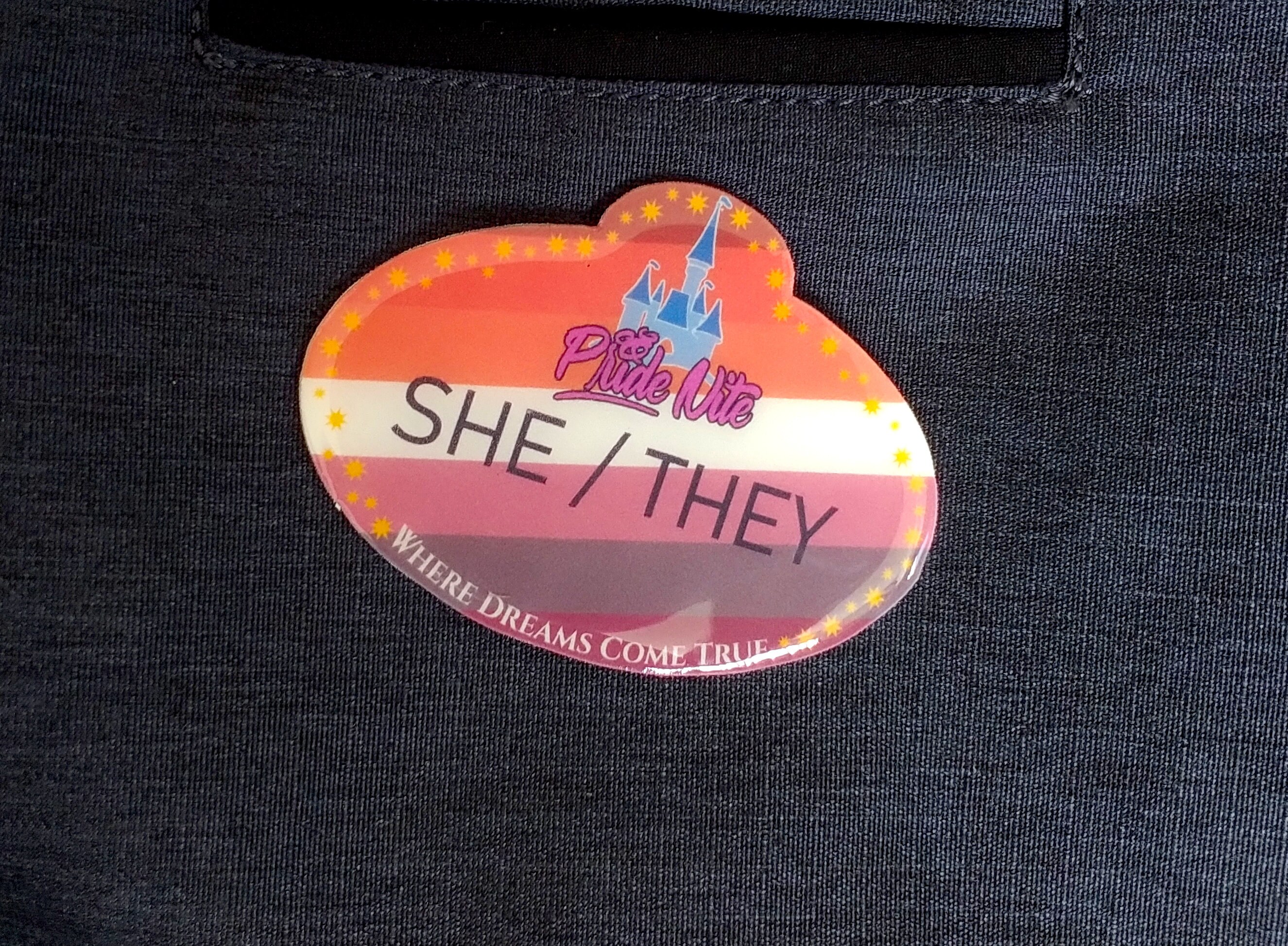 Custom Pronouns Name Tag. Cast Member Inspired Mock Theme Park Pin or ...