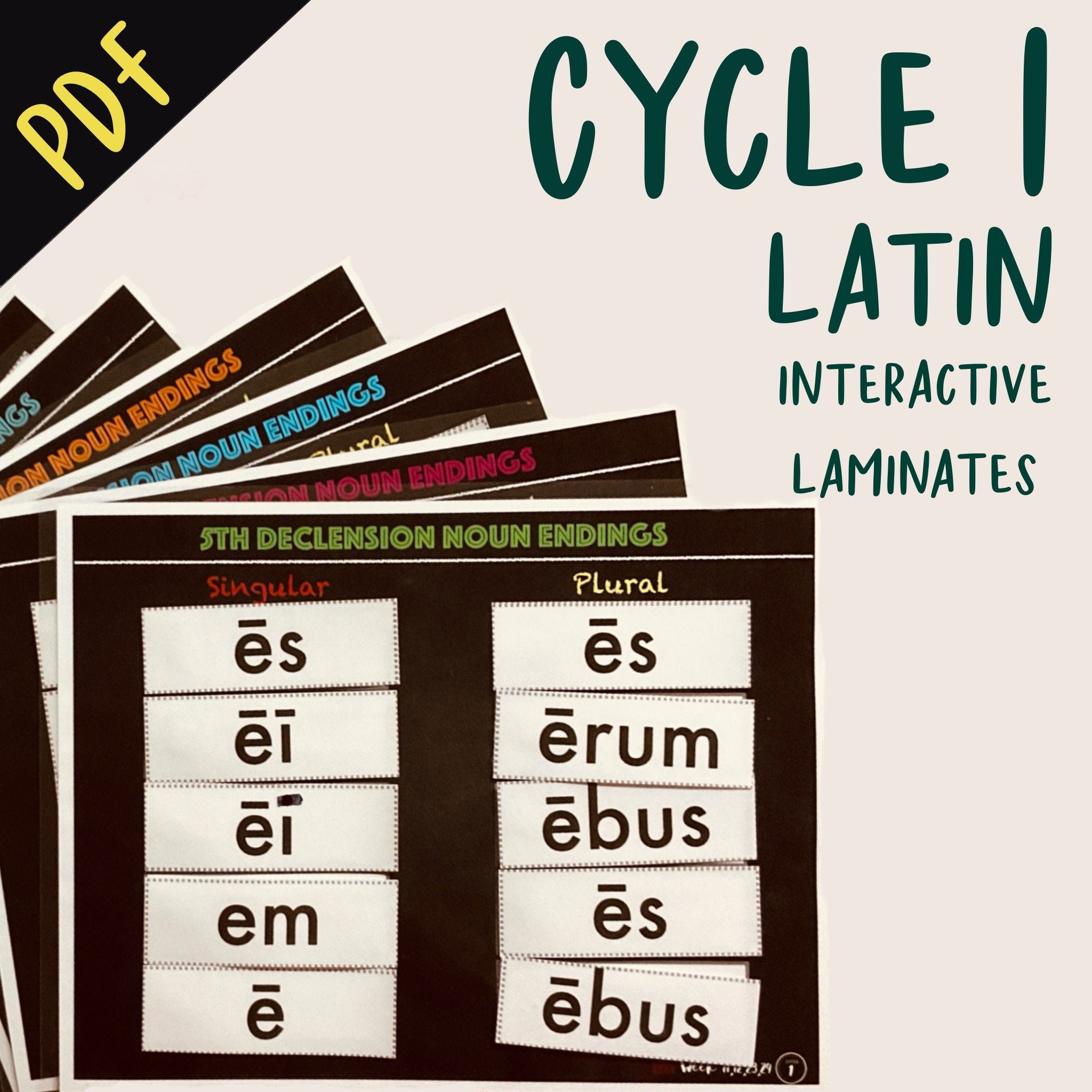 CC Cycle 1 - Latin - Interactive Laminates - *PDF* - Etsy
