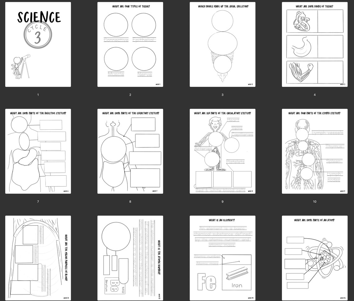 CC Cycle 3 Science Book Interactive Coloring Pages 5th Edition PDF - Etsy