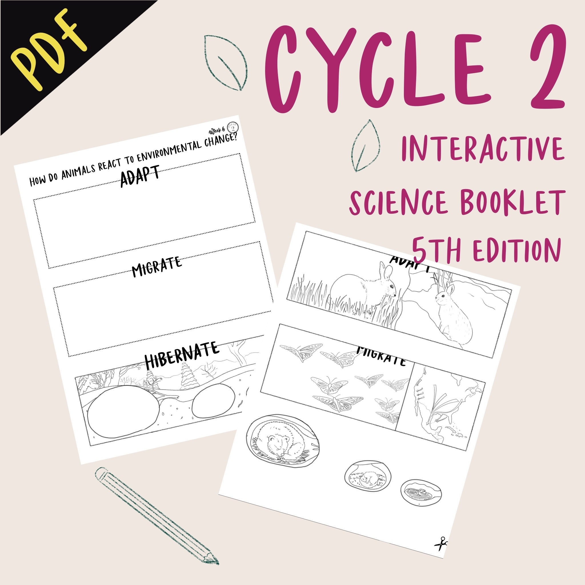CC Cycle 2 Science Booklet Interactive Coloring Pages 5th Edition PDF ...