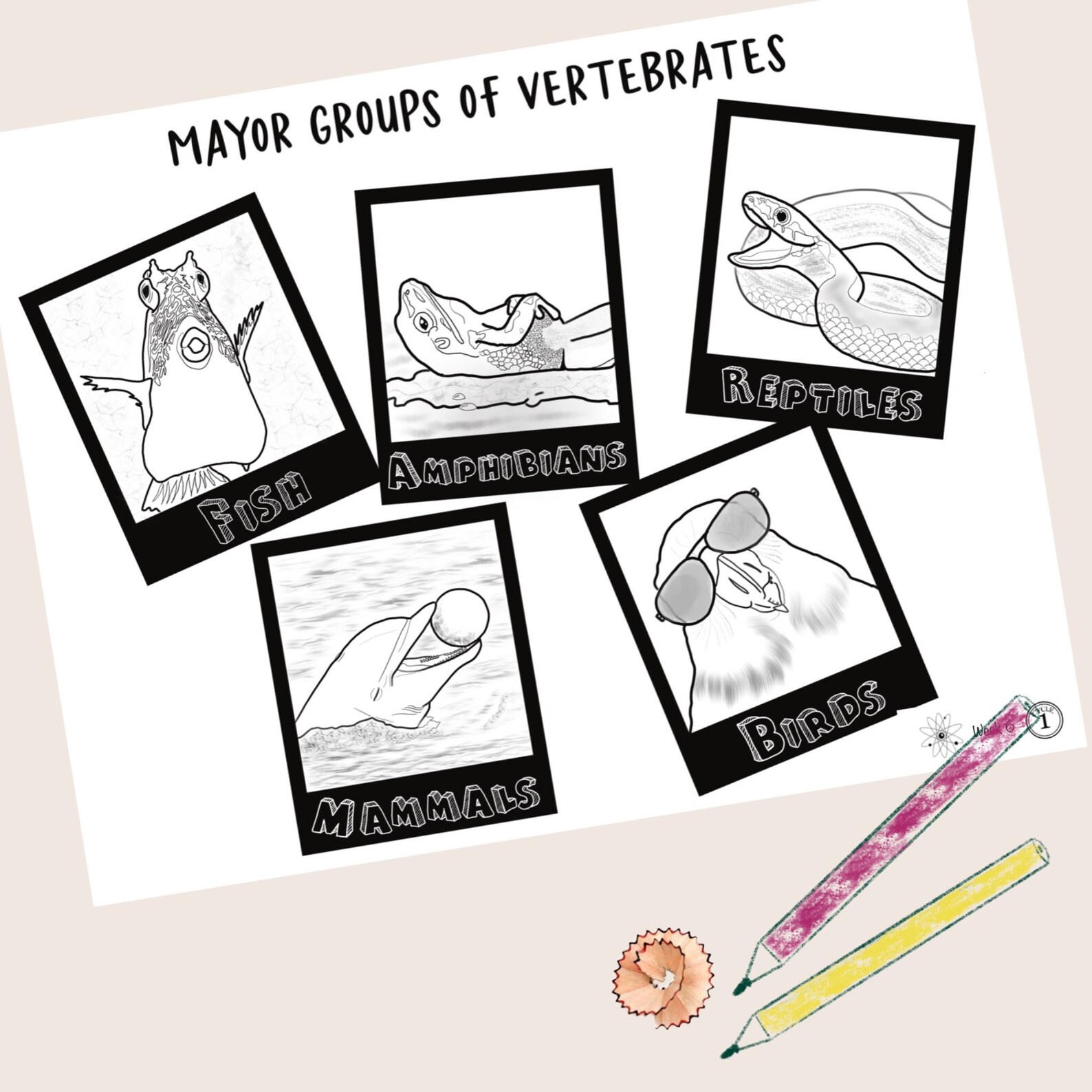 CC - Cycle 1 Science Booklet - Interactive Coloring Pages - 5th Edition ... CC - Cycle 1 Science Booklet - Interactive Coloring Pages - 5th Edition ...