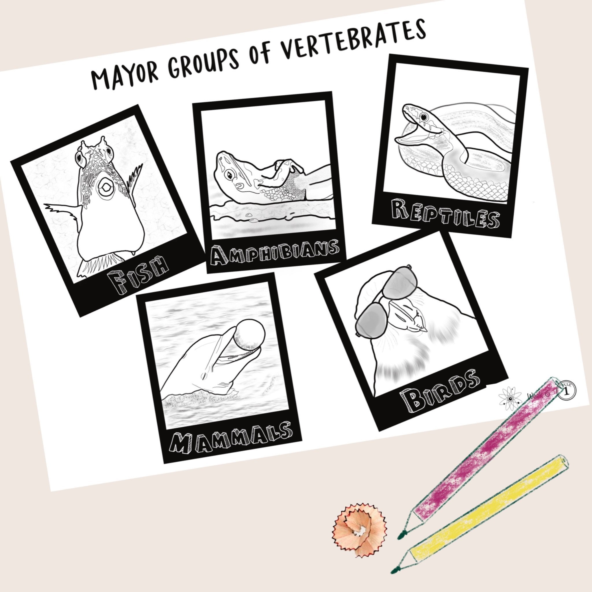 CC - Cycle 1 Science Booklet - Interactive Coloring Pages - 5th Edition ...