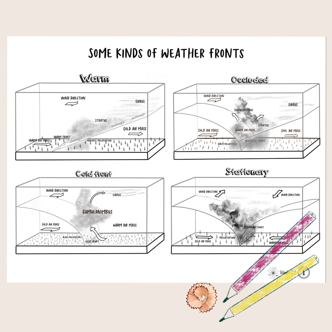 CC - Cycle 1 Science Booklet - Interactive Coloring Pages - 5th Edition ...