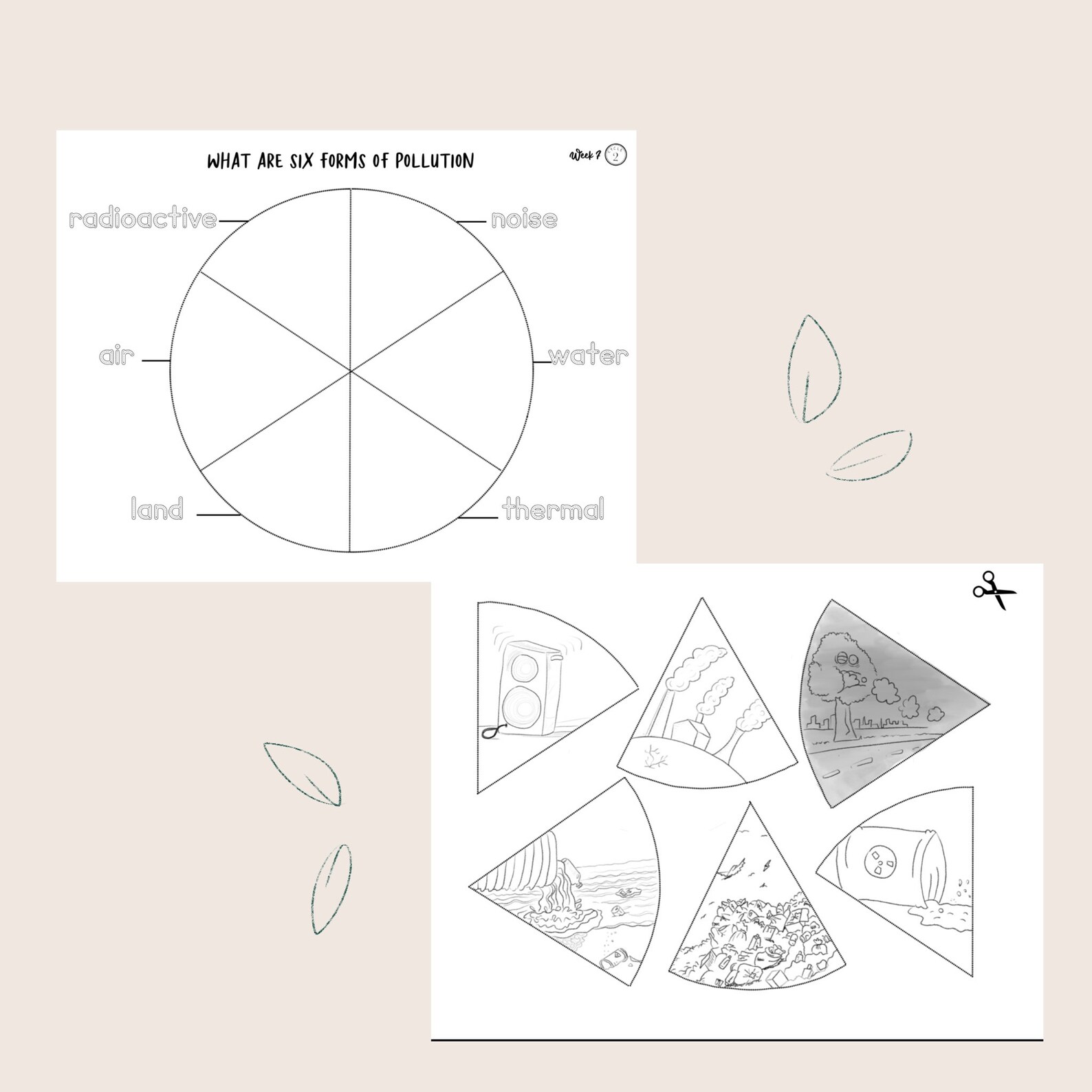 CC Cycle 2 Science Booklet Interactive Coloring Pages 5th Edition PDF ...